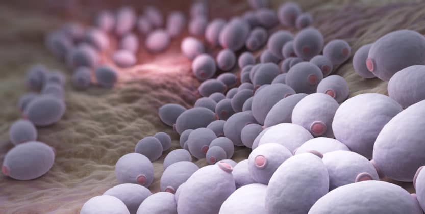 9 Candida Symptome, Ursachen und natürliche Therapien - medaVital ...